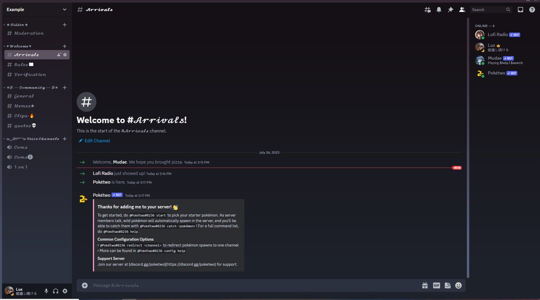 I Will Make You a Custom Discord Server! - Etsy