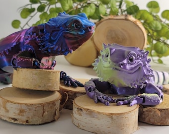 Bearded Dragon Fidget - Etsy