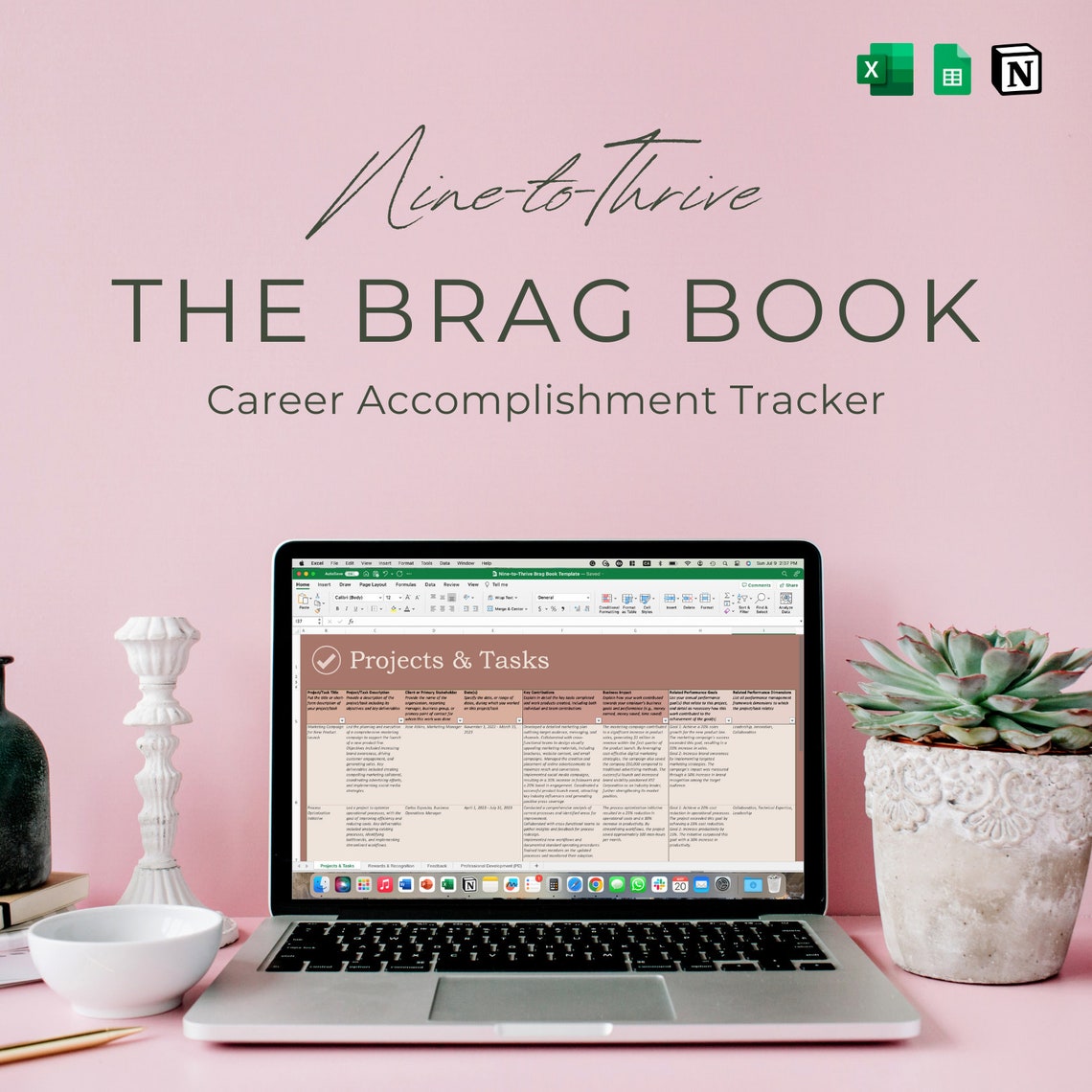 The Brag Book: Career Accomplishment Tracker for MS Excel, Google ...