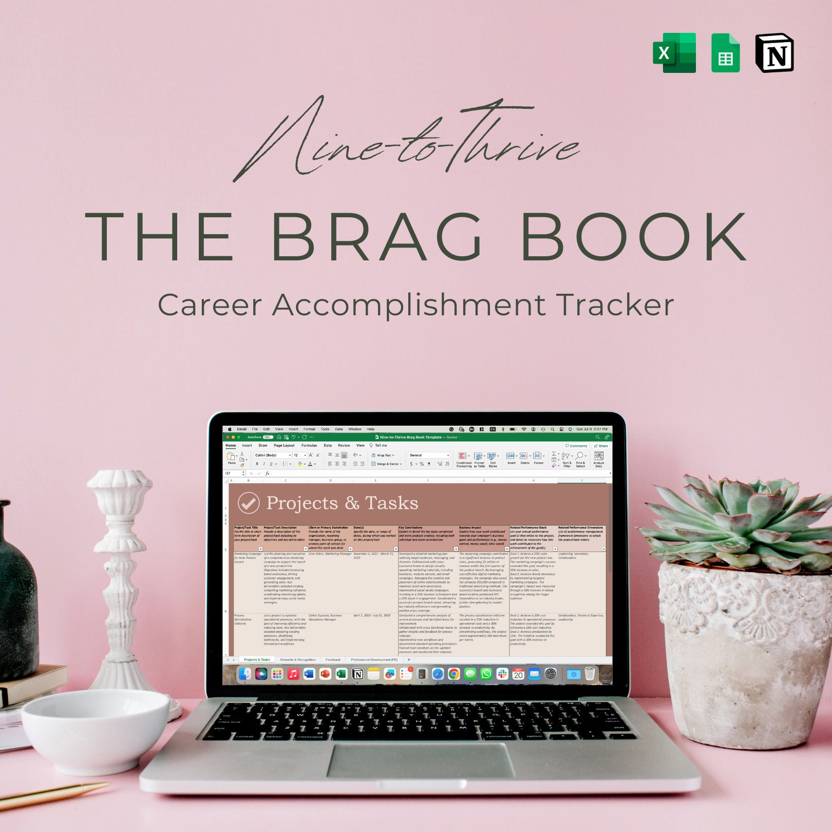 The Brag Book: Career Accomplishment Tracker for MS Excel, Google ...