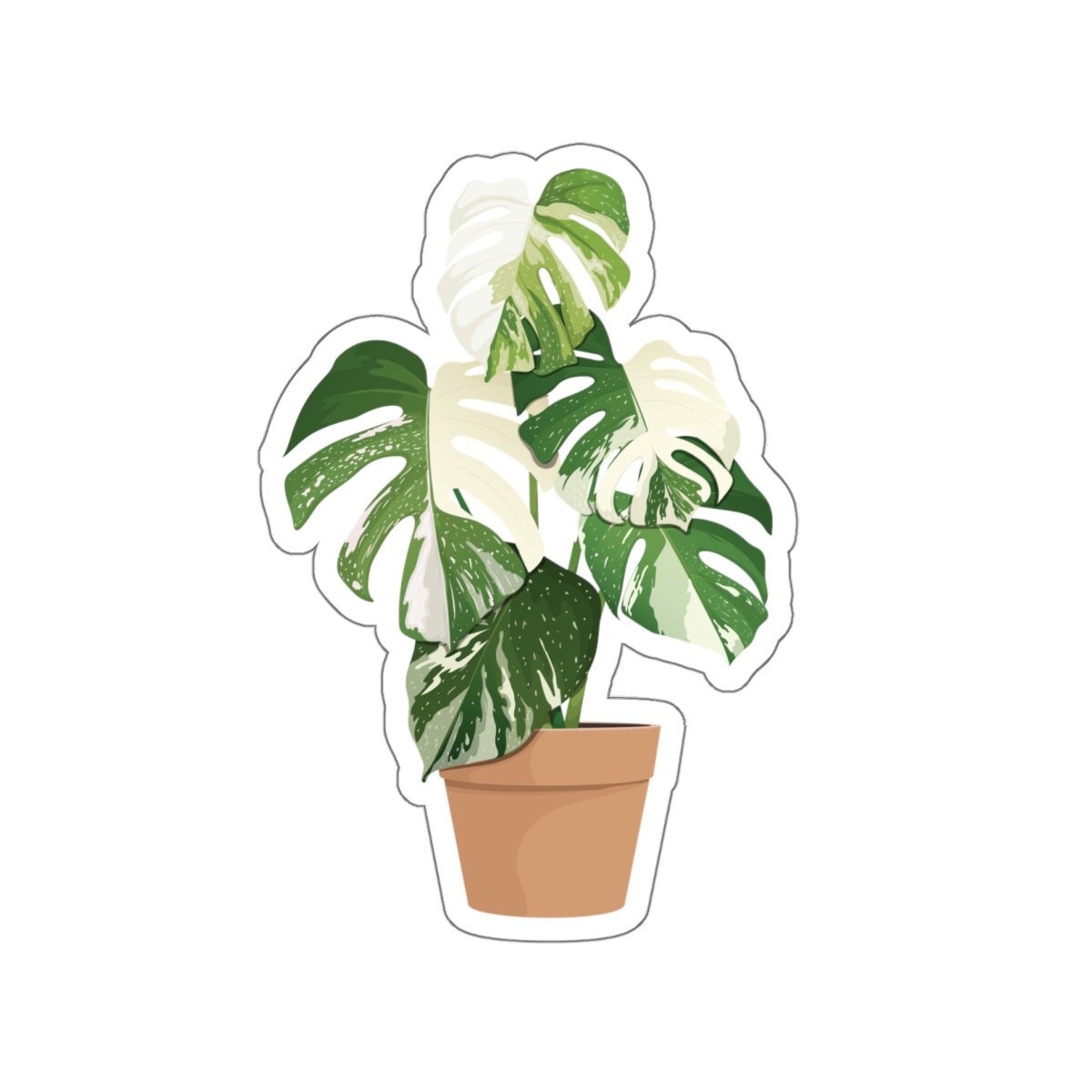 Rare Plant Sticker - Monstera Albo (monstera Deliciosa Variegated Plant ...