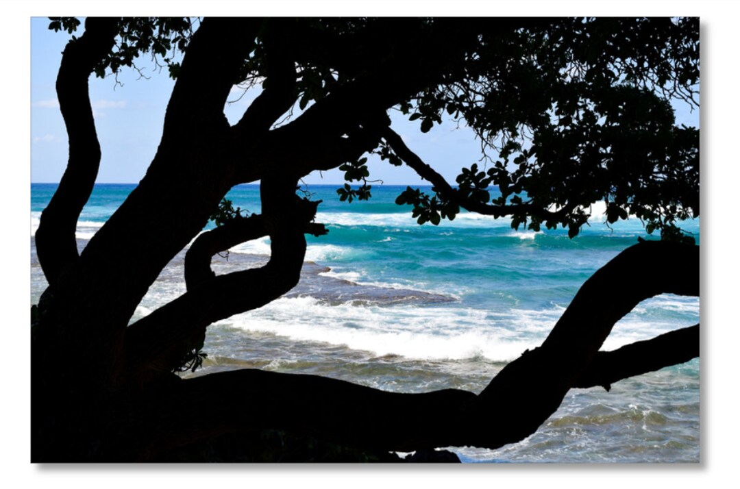 Winding Branches Print, Tree Silhouette, Sunny Coastline, Peaceful Sky ...
