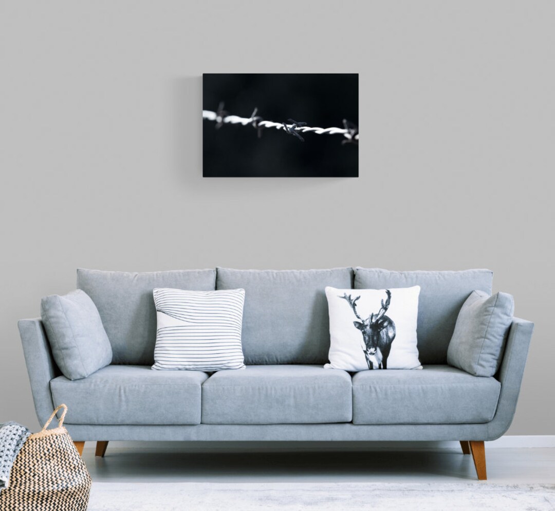 Black and White Barbed Wire Print - Etsy