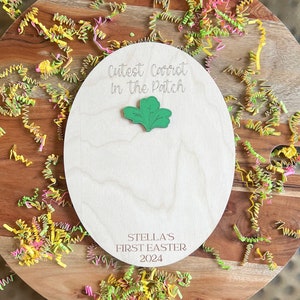 DIY Personalized Cutest Carrot in the Patch Baby’s First Easter ...