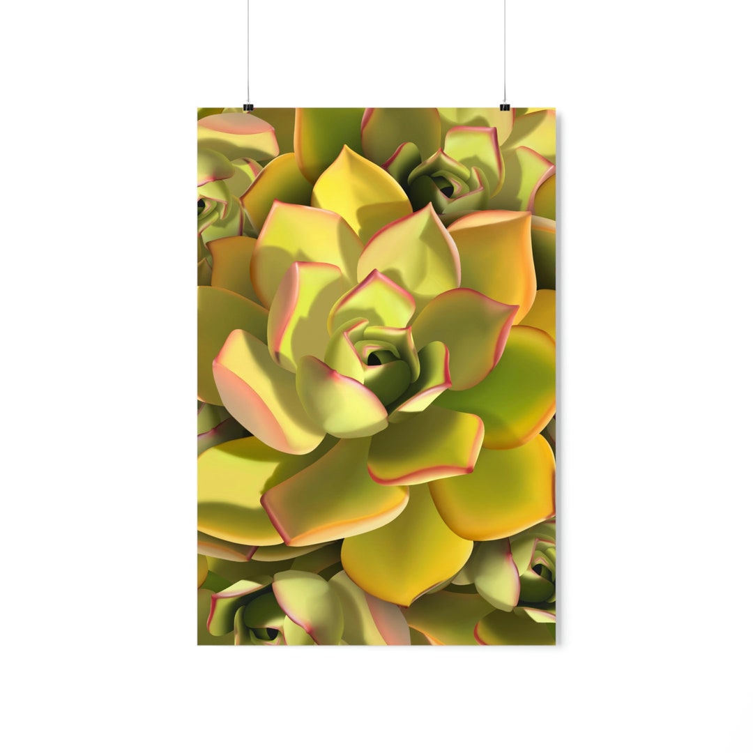 Succulent Wall Art: Noble Aeonium Illustration - Indoor Plant Decor - Etsy