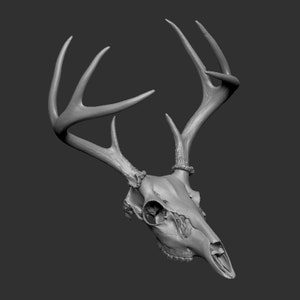 Deer Skull Skull 3D Printing STL File Max3d Model Material - Etsy