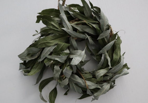 Organic Dried Willow Wreaths - Etsy