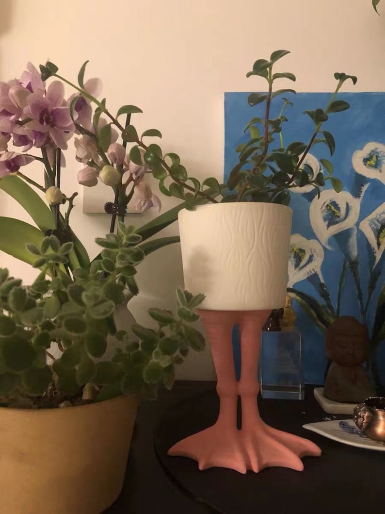 Goose Feet Vase Porcelain Goose Claw Pot Ceramic Plant Vase - Etsy
