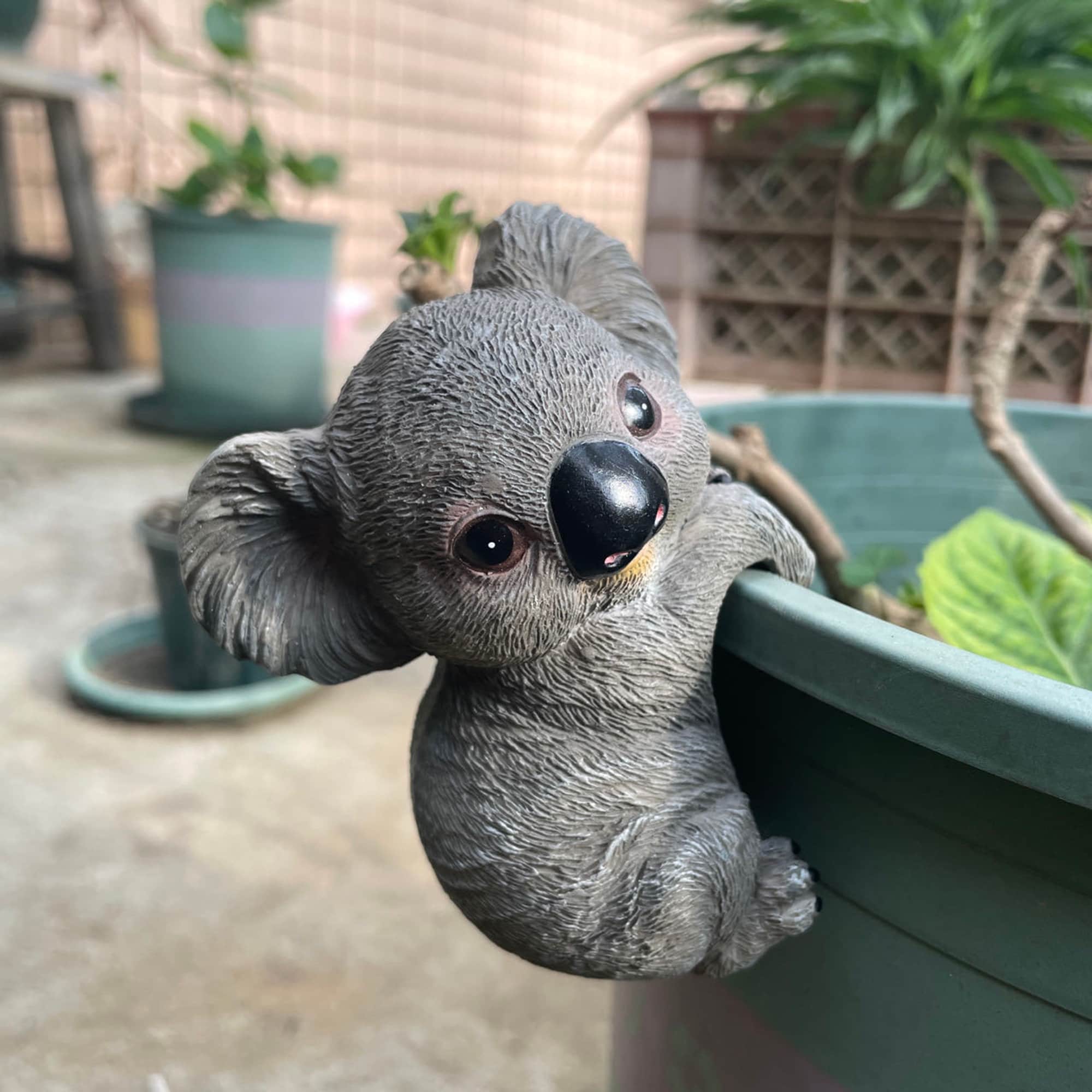 Climbing Koala Statue Resin Bookshelf Decor Abstract Hanging Koala ...