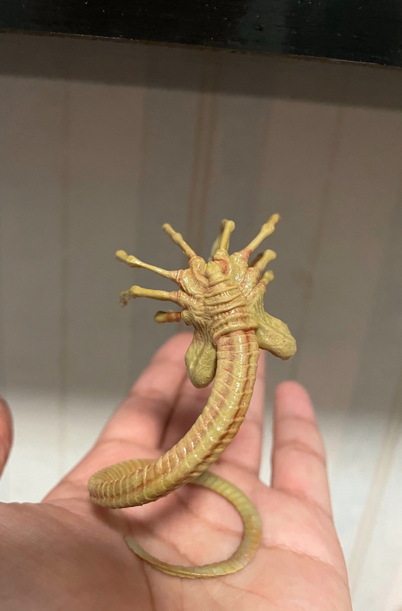 Neca Facehugger Figurine Resin Amoeba Statue Alien Swarm Sculptures ...