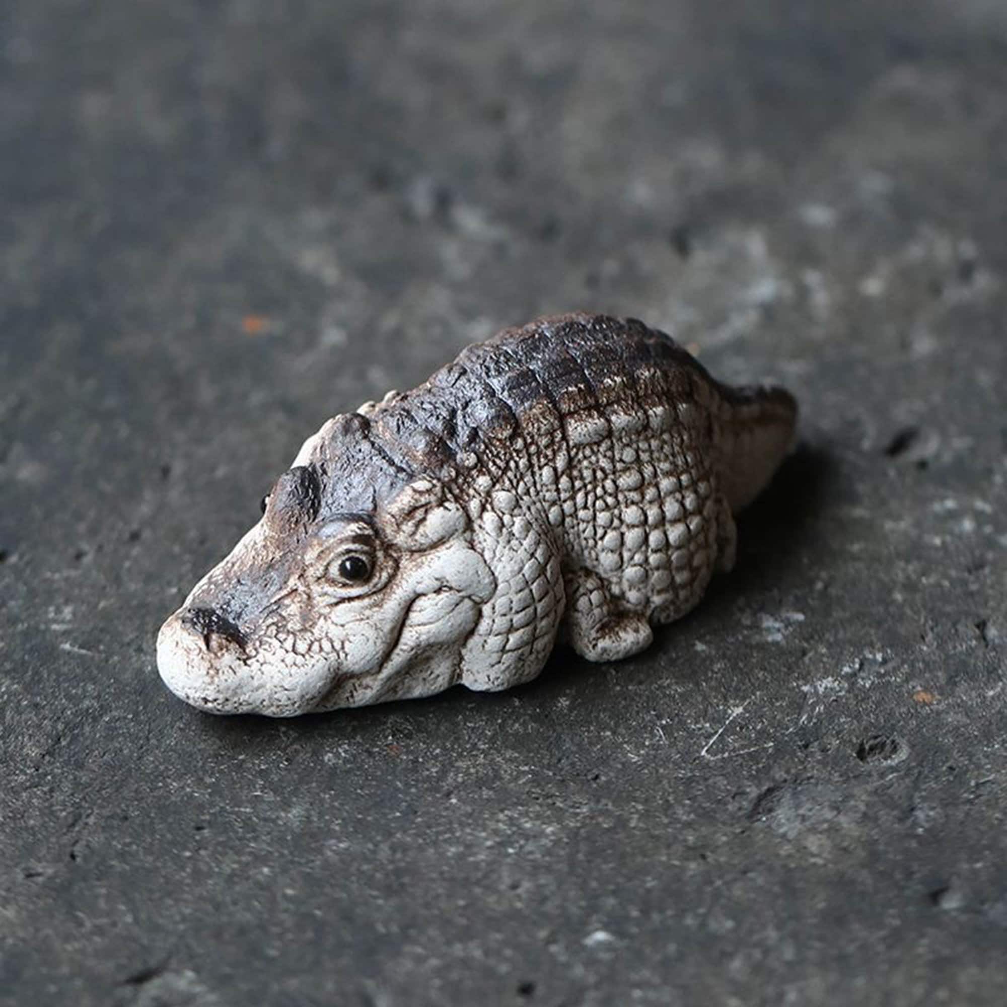 Crocodile Statue Resin Mini Crocodile Bookshelf Decor - Etsy