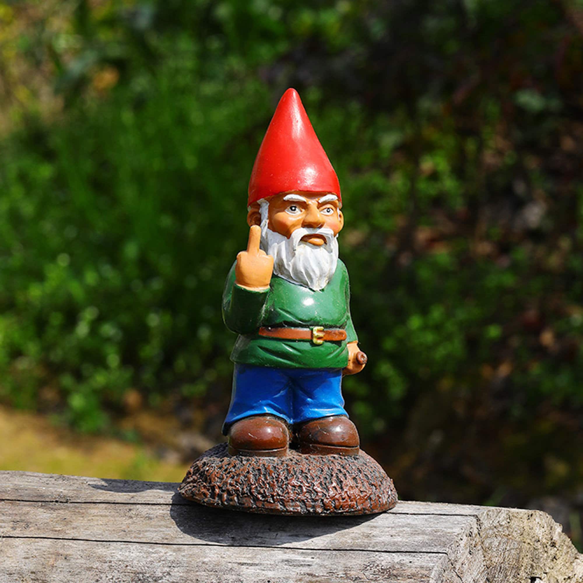 Gnomes Middle Finger Wizard Dwarf With Red Hat Tree Face Resin - Etsy