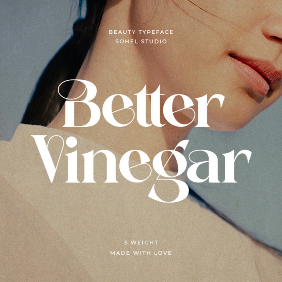 Better Vinegar - Cricut Font, Procreate Font, Logo Font, Modern Font ...