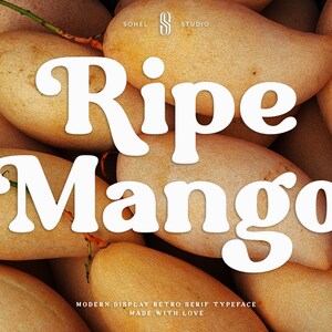 Ripe Mango - Retro Serif Font, Elegant Font, Canva Font, Modern Font ...