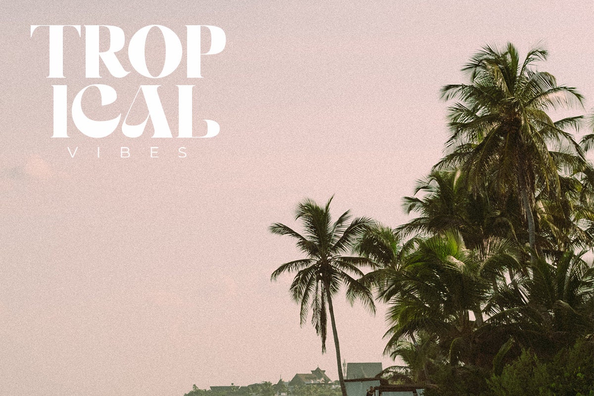 Violin - Serif Font, Modern Font, Boho Font, Branding Font, Swash Font ...