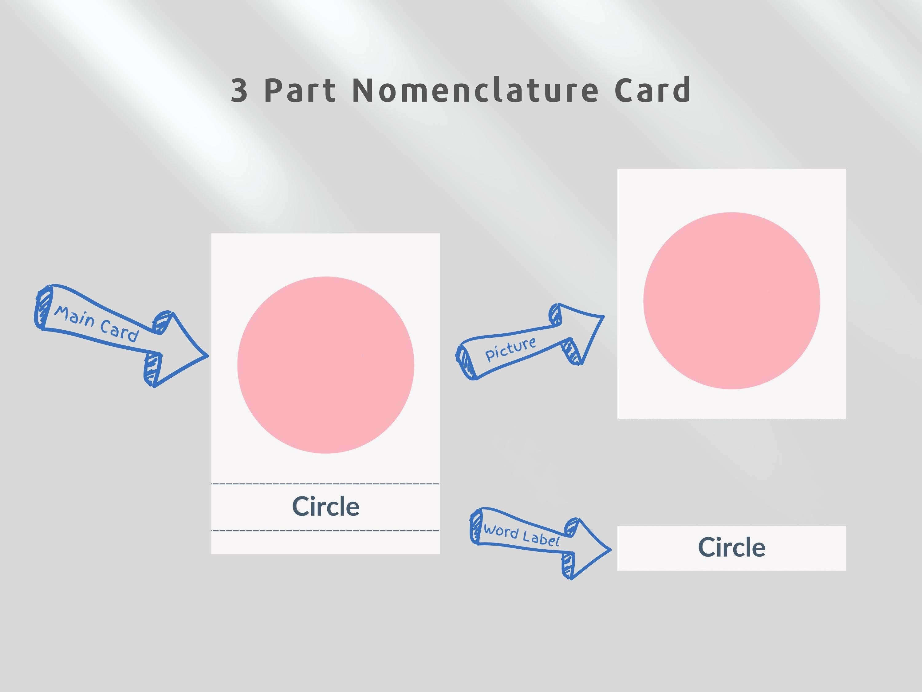 12 Pastel Shapes Flash Cards, Preschool Materials, Montessori Materials ...