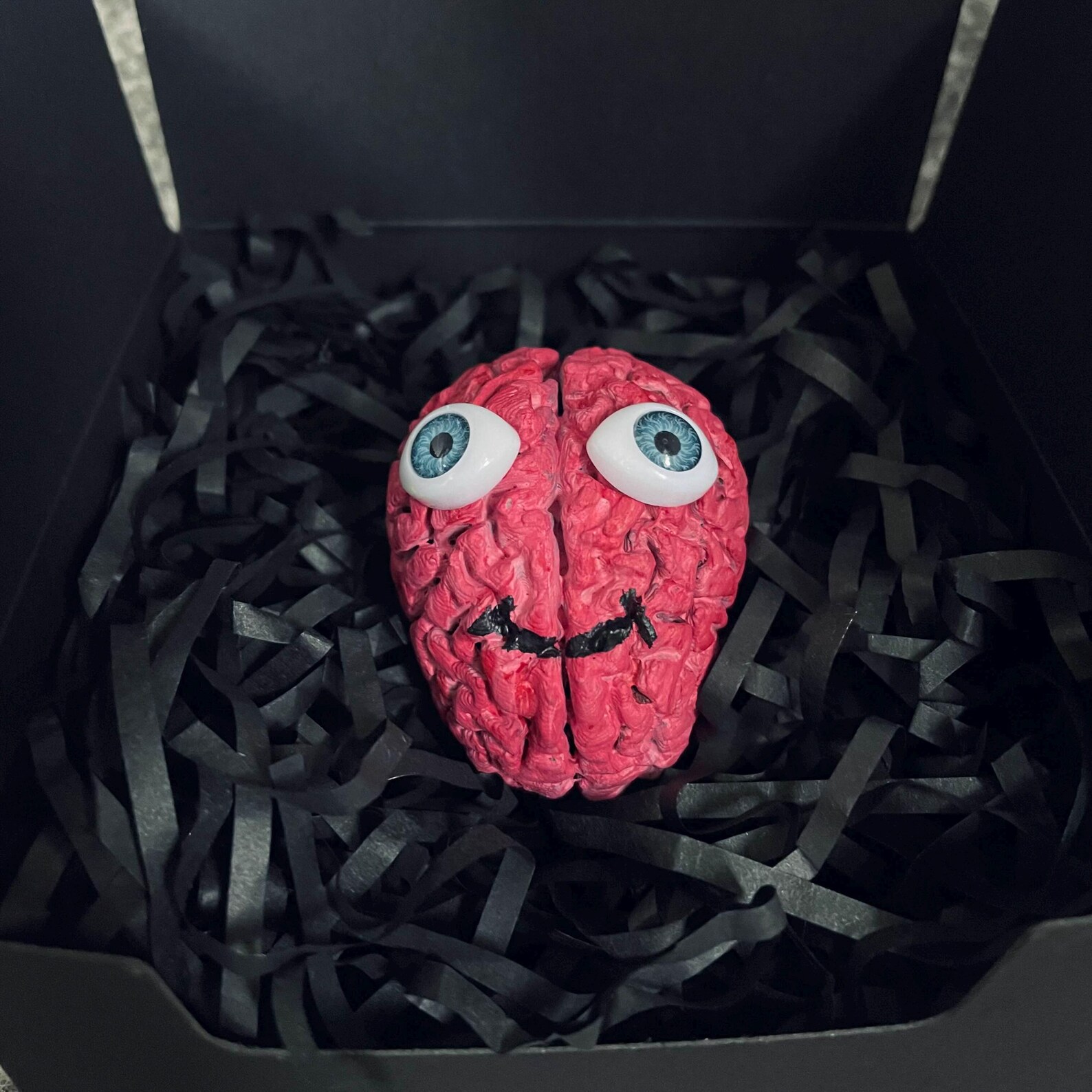Funny Tiny Brain Pet Figure in Box With Message - Cute Desk Buddy ...