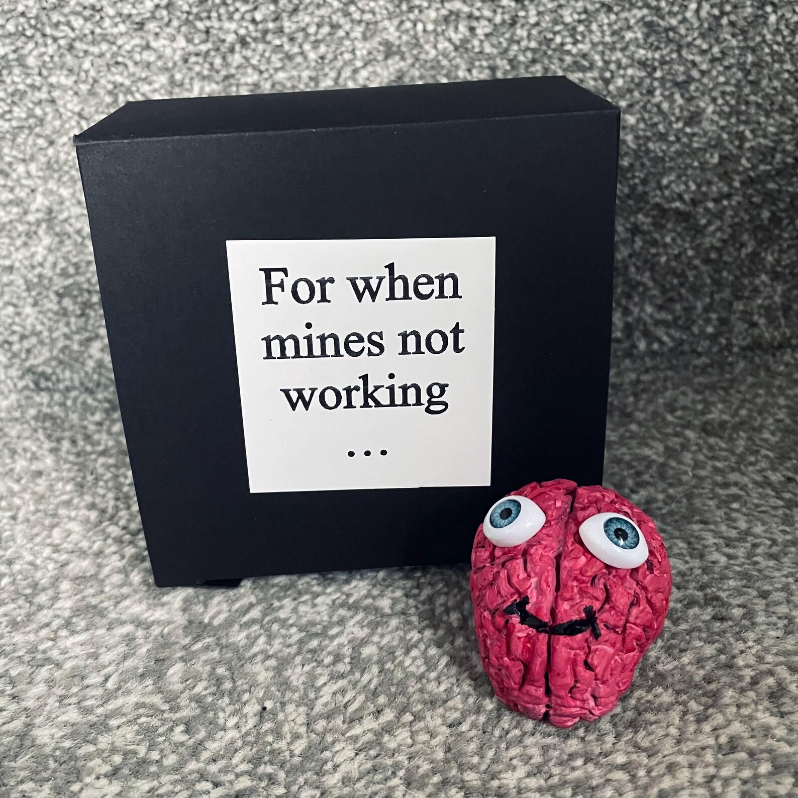 Funny Tiny Brain Pet Figure in Box With Message - Cute Desk Buddy ...