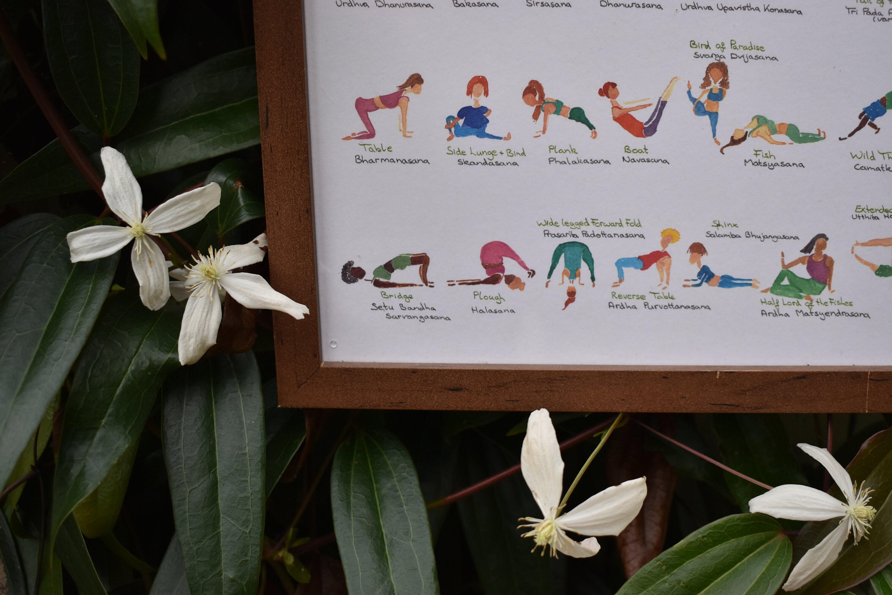 Yoga Poses Print A3 Recycled Paper - Etsy