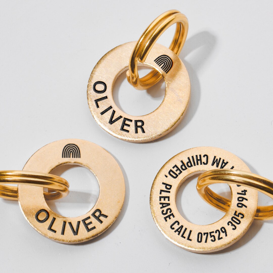 Personalized Dog Tag Customized Engraved Pet ID Tag for Dogs Stylish ...