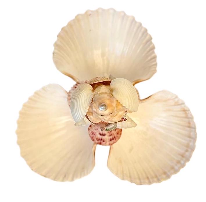 Victorian Seashell Vanity Tray With Monkey Finial: Jewelry Dish - Etsy