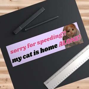 Cat Home Alone Bumper Sticker - Etsy