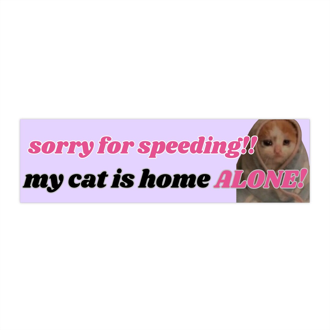 Cat Home Alone Bumper Sticker - Etsy