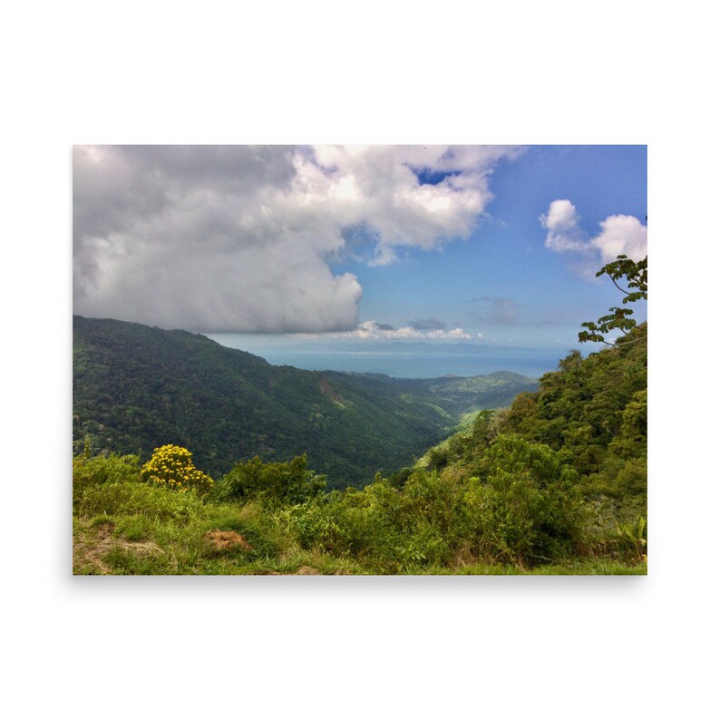 Costa Rican Rainforest Poster Costa Rica Wall Art Jungle - Etsy