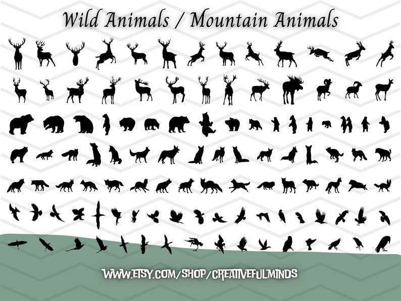 Wild Animals SVG Bundle | for Cricut, CNC, Laser, Etc | Creative ...