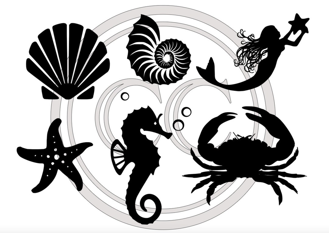 Sea Life SVG Files - Etsy