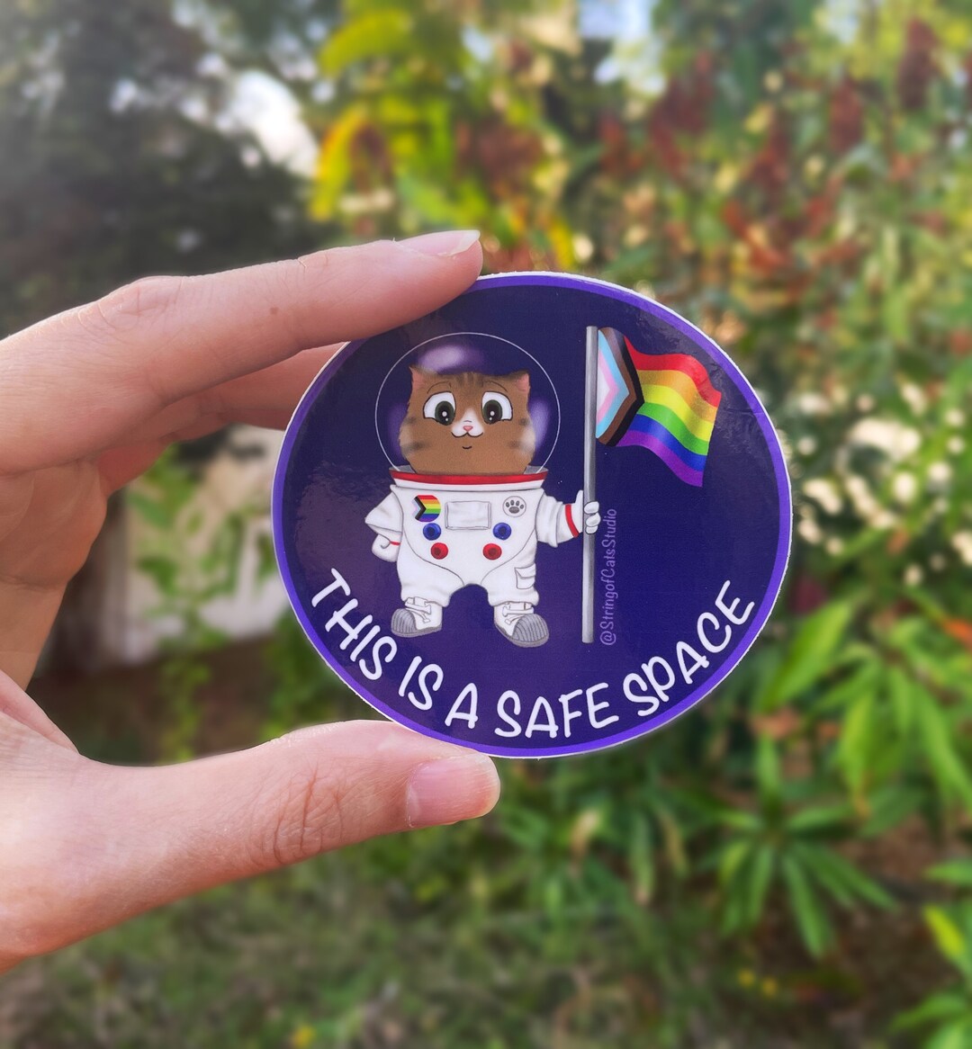 This is a Safe Space Cat Sticker, Subtle Pride Sticker, Cat Astronaut Decal, Progress Flag ...