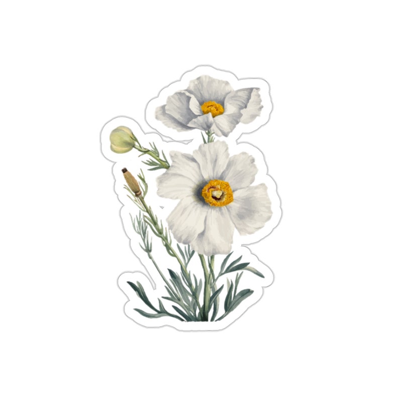 Kiss-cut Stickers, Flower Sticker, White Flower Kiss-cut Stickers ...