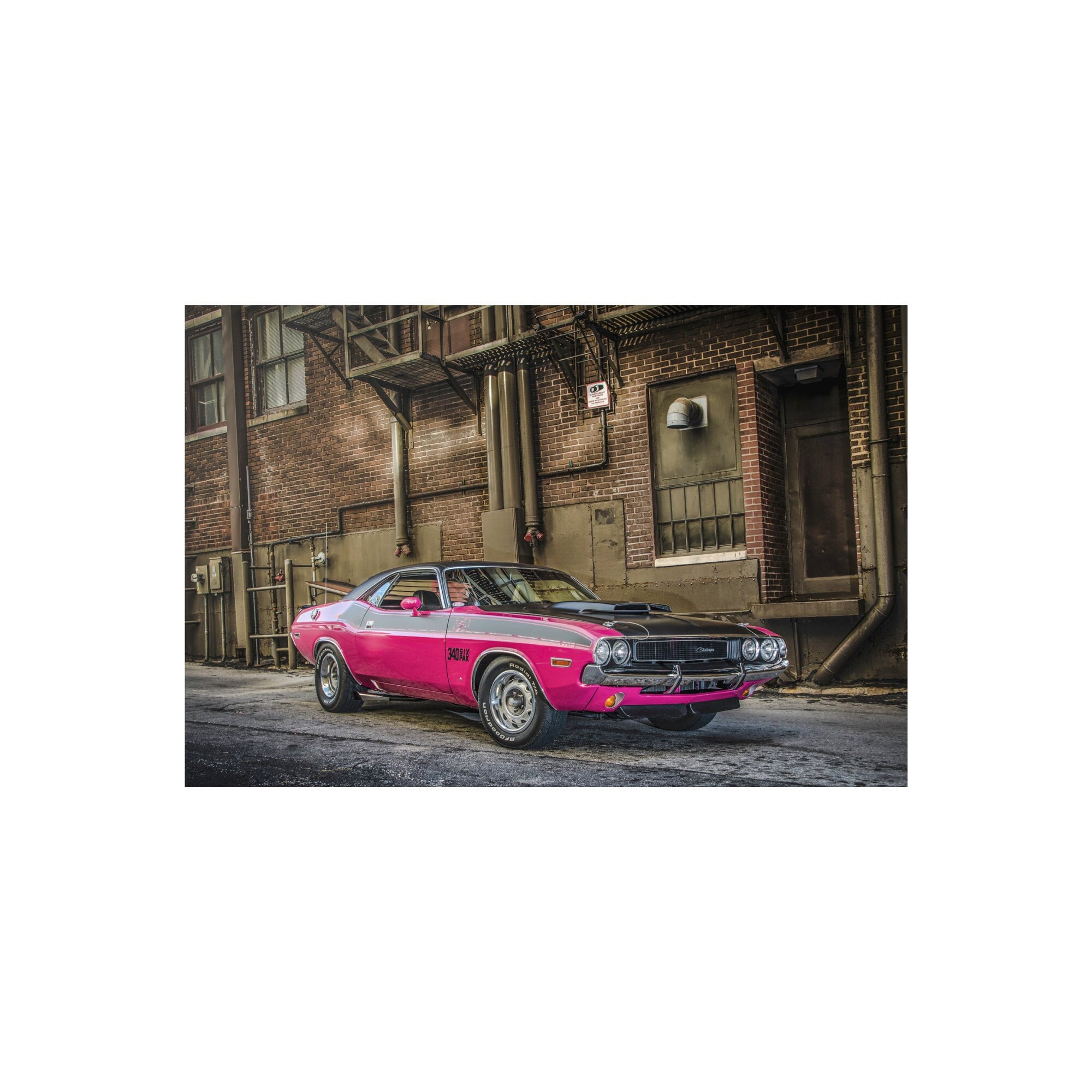 1970 Dodge Challenger T/A 340 Six Pack Panther Pink Muscle Car Wall Art ...