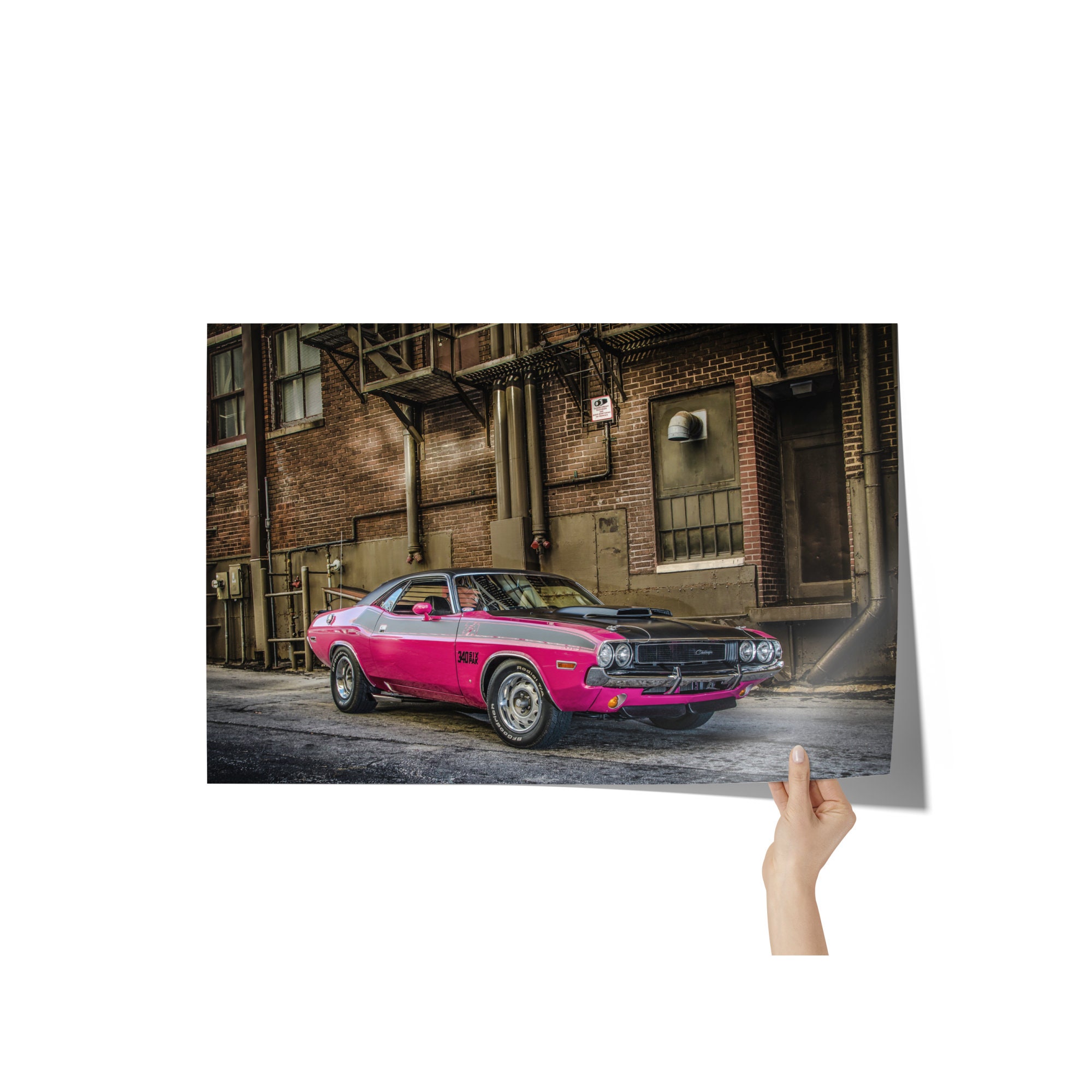 1970 Dodge Challenger T/A 340 Six Pack Panther Pink Muscle Car Wall Art ...