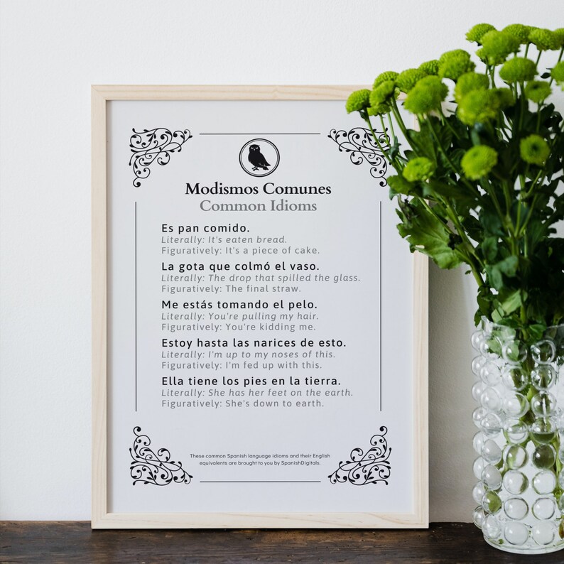 Common Spanish Idioms Poster Bilingual Spanish English - Etsy