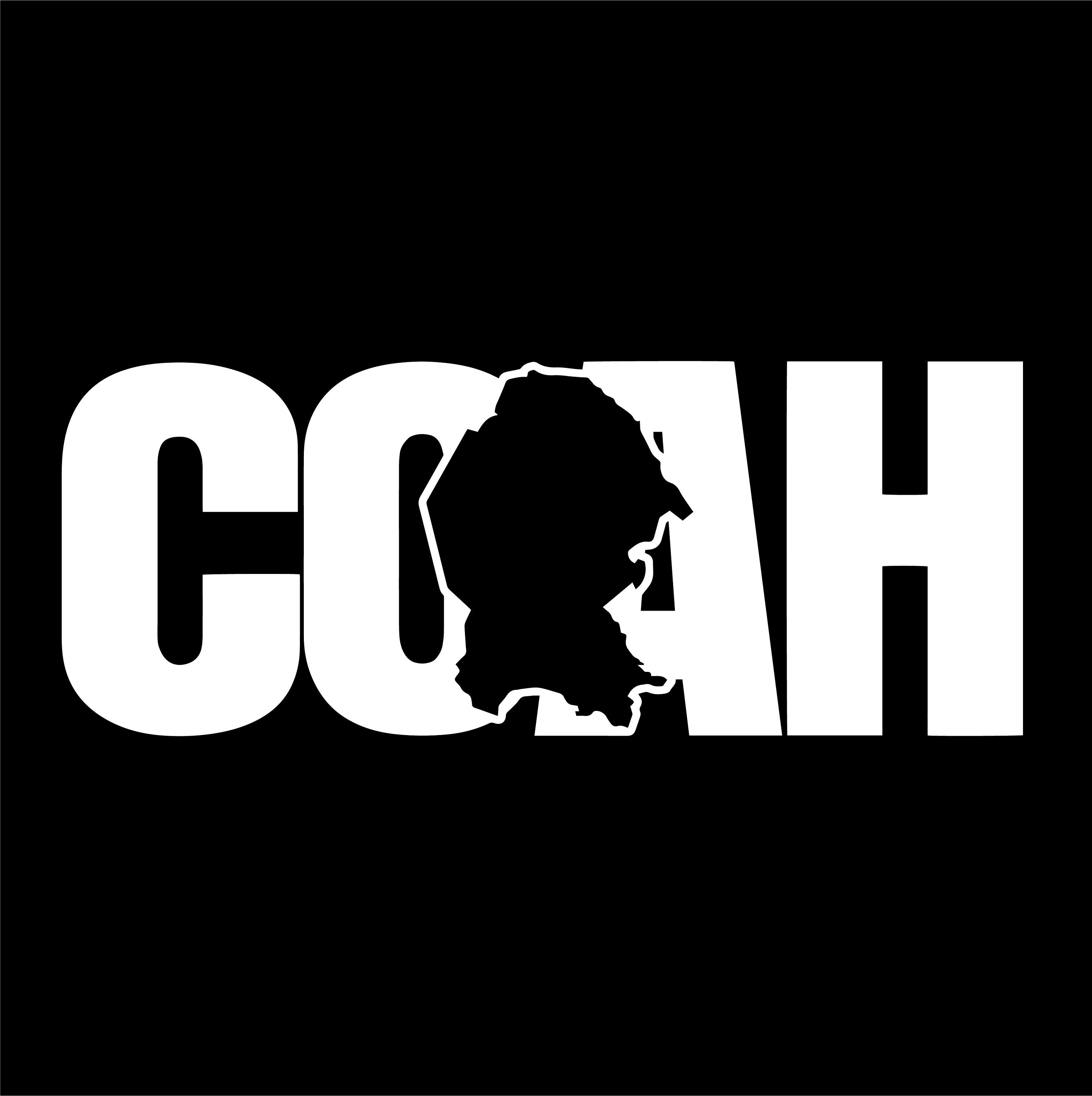 Coahuila , Mexico, Mexican State Decal, Coahuila State Decal, Estado ...