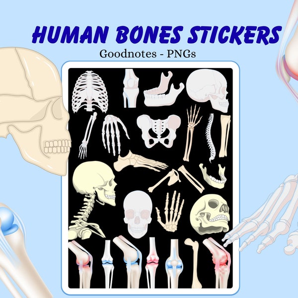 Goodnotes Anatomy Clipart - Etsy