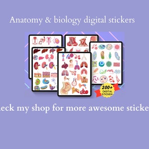 Human Bones Anatomy Biology Digital Stickers , Skeletal System Stickers ...