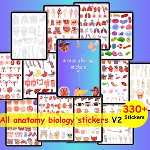 Anatomy & Physiology Digital Stickers: 330+ Medical Goodnotes Stickers ...