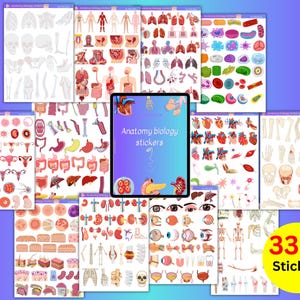 Anatomy & Physiology Digital Stickers: 330+ Medical Goodnotes Stickers ...