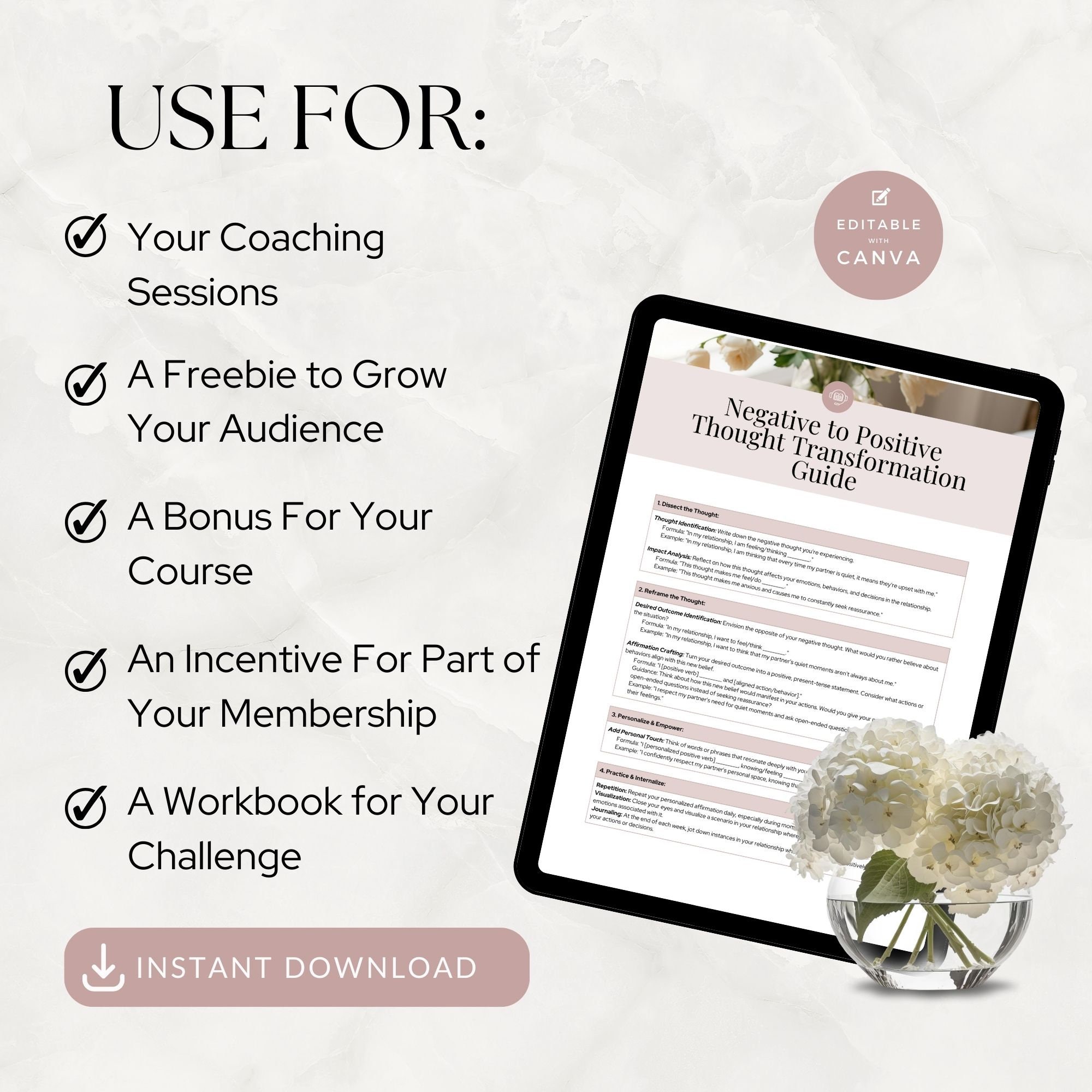 Coaching Worksheet Template, Life Coach Workbook, Client Session ...