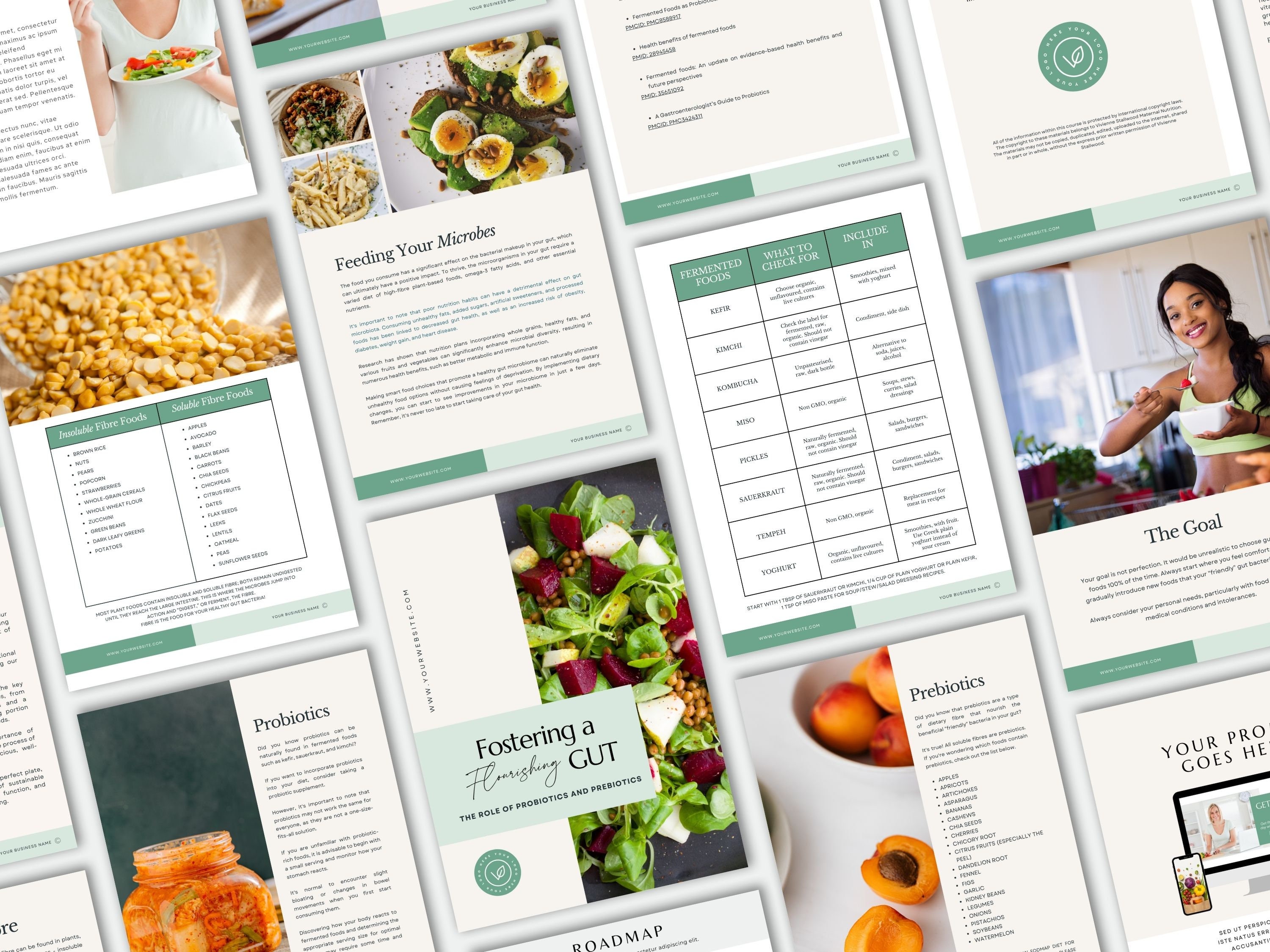 Health Coaching Program Template, Nutrition Coach, Healthy Gut ...