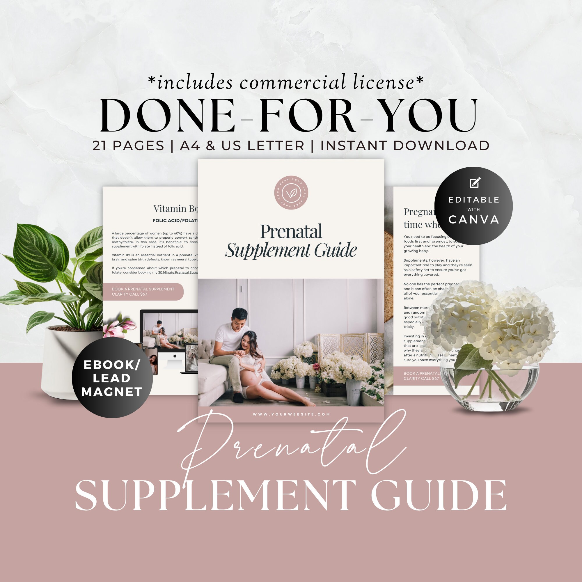 Prenatal Supplement Guide, Coaching Program Template, Nutrition Coach, Women's Reproductive ...