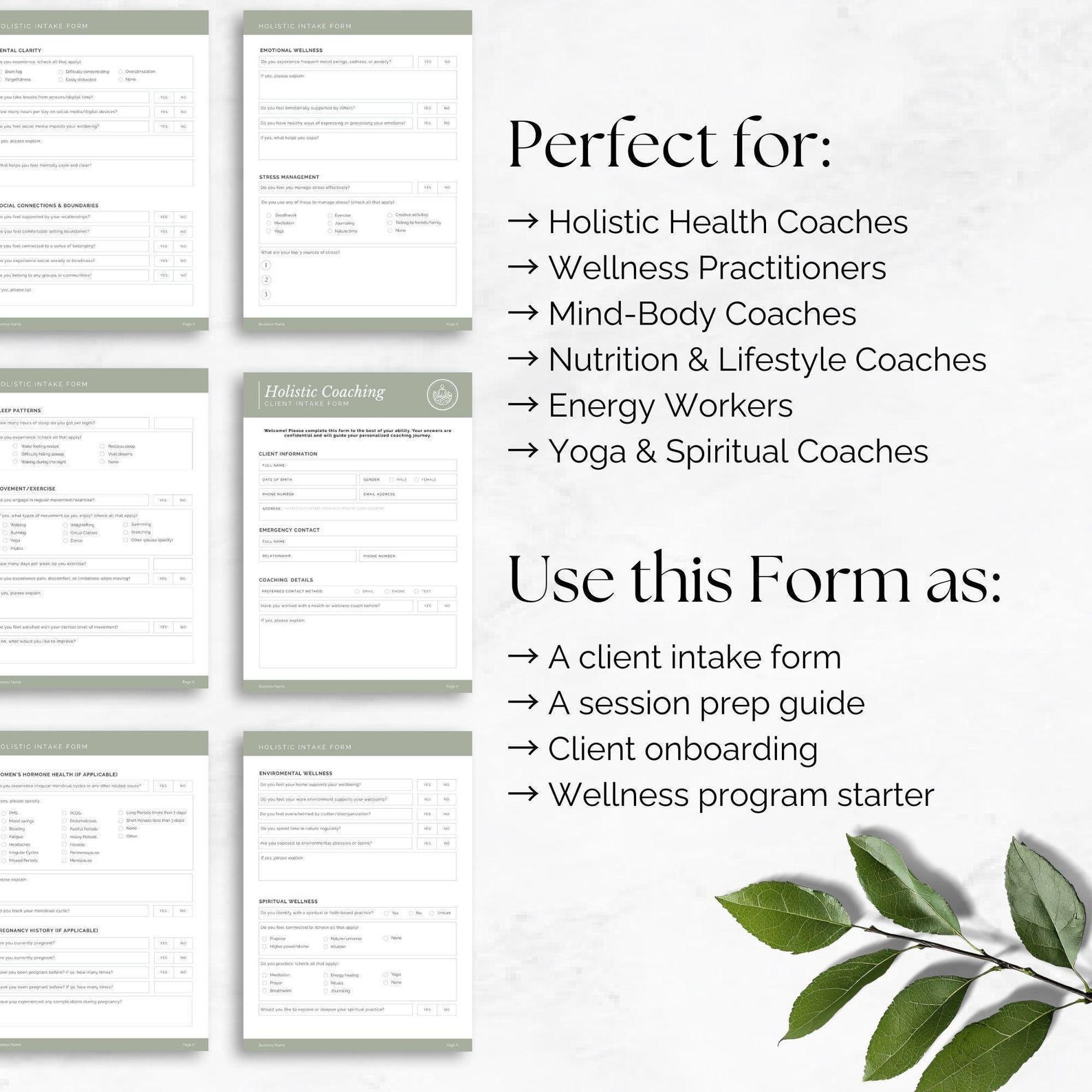 Holistic Coaching Intake Form Canva Template Wellness Client ...
