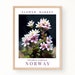 Norway National Flower Poster, Flower Market Print, Printable Wall Art ...