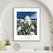 Austria National Flower Poster, Flower Market Print, Printable Wall Art ...