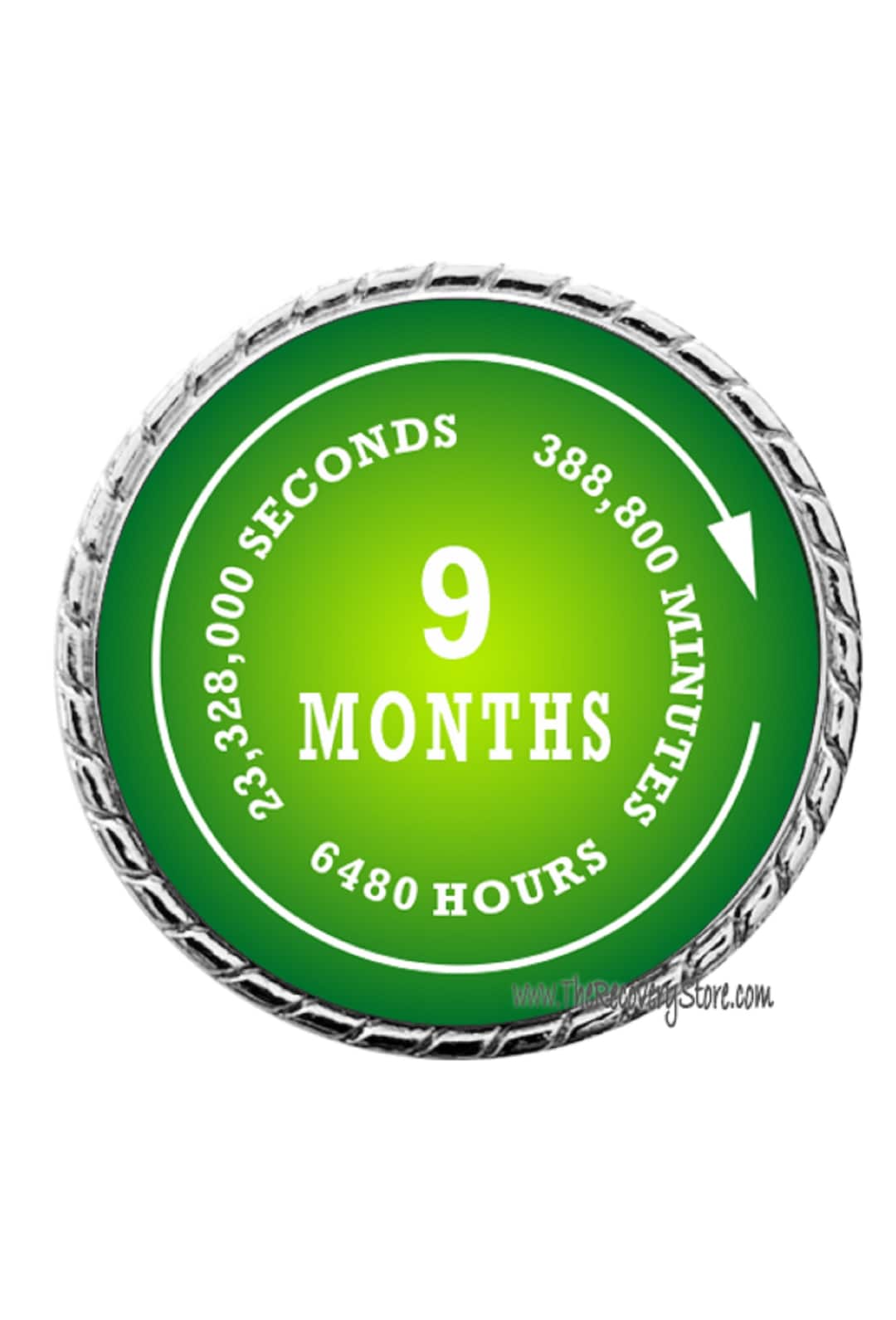 Monthly Recovery Medallion - 9 Months - Recovery Milestone - Program ...