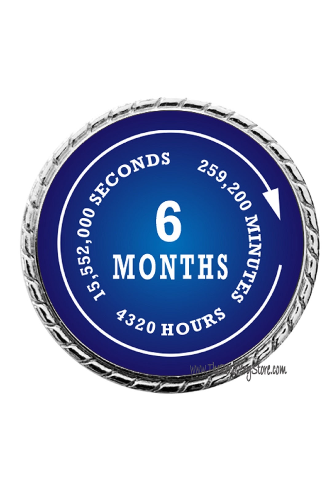 Monthly Recovery Medallion - 6 Months - Recovery Milestone - Program ...