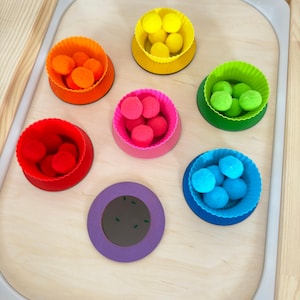 Color Sorting TROFAST Insert Educational Activities for Kids Sensory ...