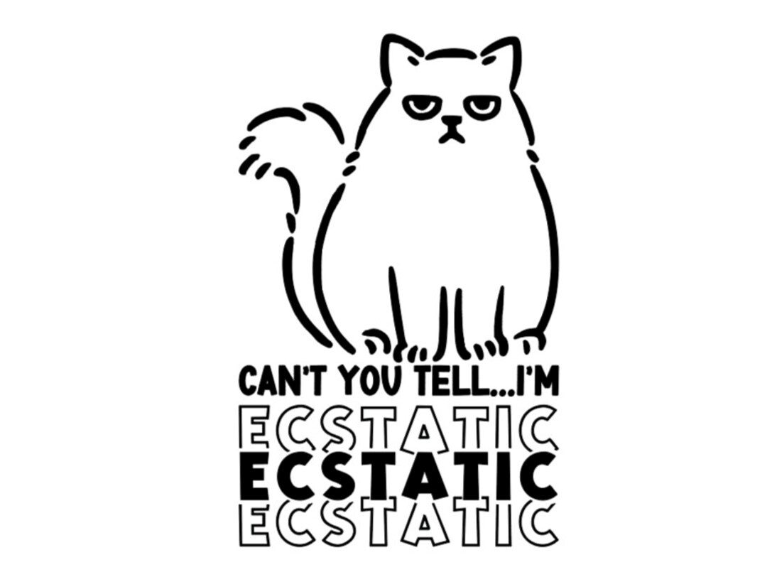Grumpy Cat "i'm Ecstatic" Decal - Etsy